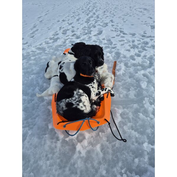 ERAPro 60" PRO 960 Expedition Sled | Ski touring pulks and sleds ...