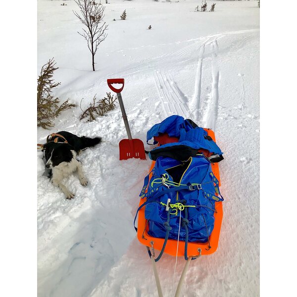 ERAPro 60" PRO 960 Expedition Sled | Ski touring pulks and sleds ...