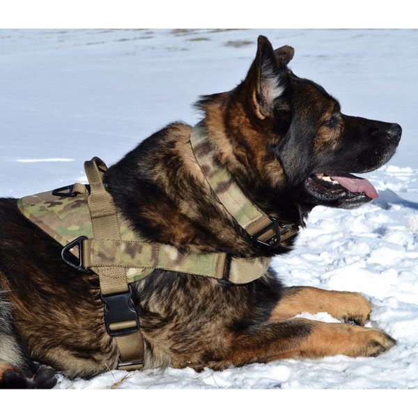 Ray Allen Modular Multi-Purpose Opportunity Harness | Varuste.net