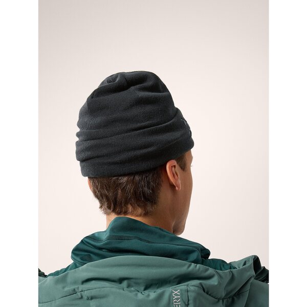 Arc'teryx Embroidered Bird Toque | Beanies | Varuste.net English